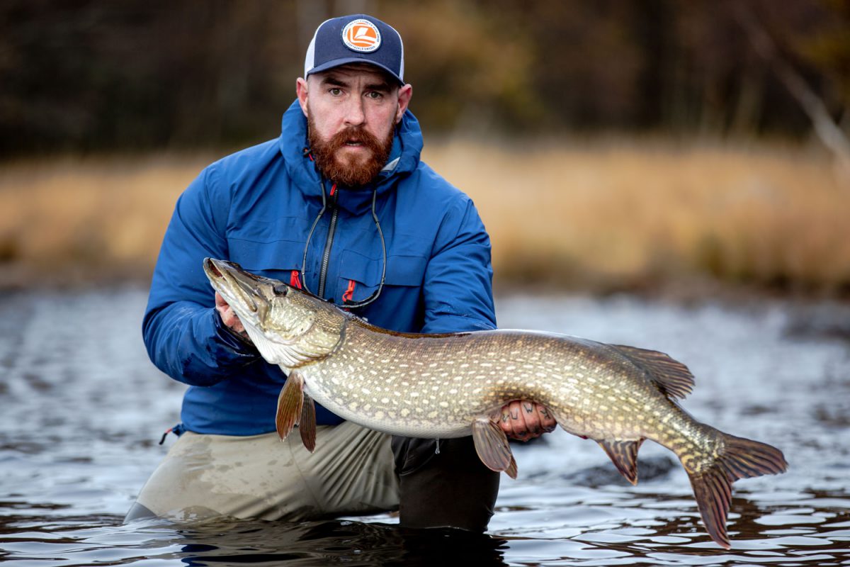 Perch Guided Fishing Trips Scotland | Fishing Holidays & Breaks | FishX